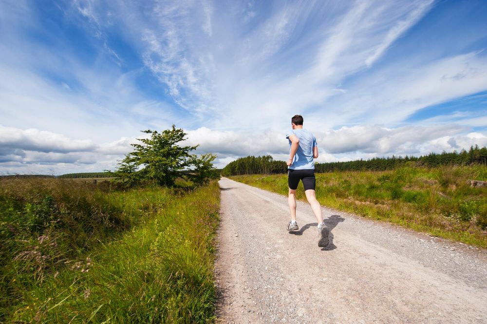 How Does the Body Use Energy While Exercising?