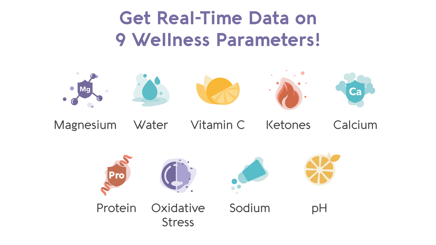 At Home Urine Test | Check Your Body’s Wellness | Vivoo